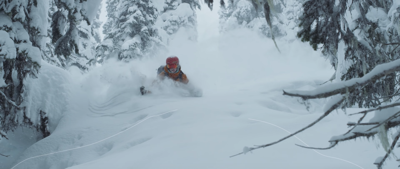 Treeline: A Story Written in Rings from Patagonia Films - The Heli Blog