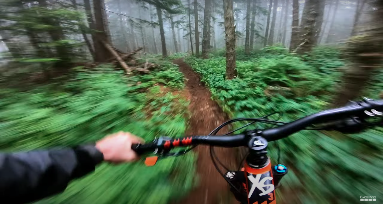 2 Minutes Of Foggy Forest Mountain Biking In The Pacific Northwest ...